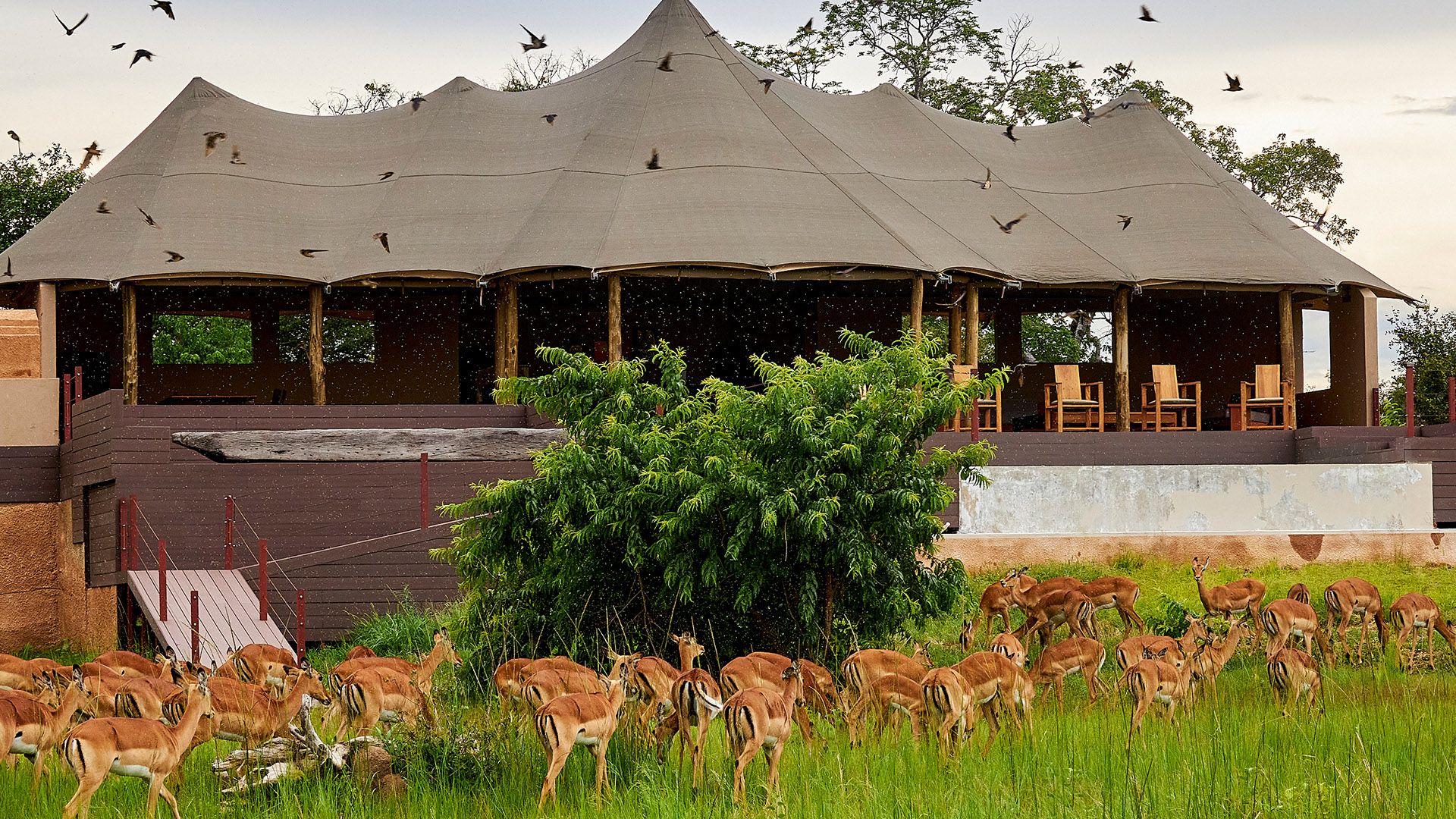Konkamoya Lodge + Chikuto Safari Lodge | Safari Culture